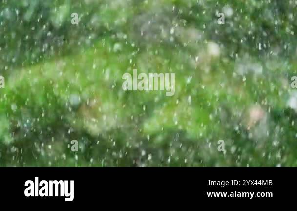 Snowfall outside the window turns the green forest into a majestic ...