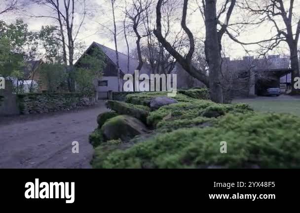 Enhance your autumnal projects with this beautiful high-definition ...