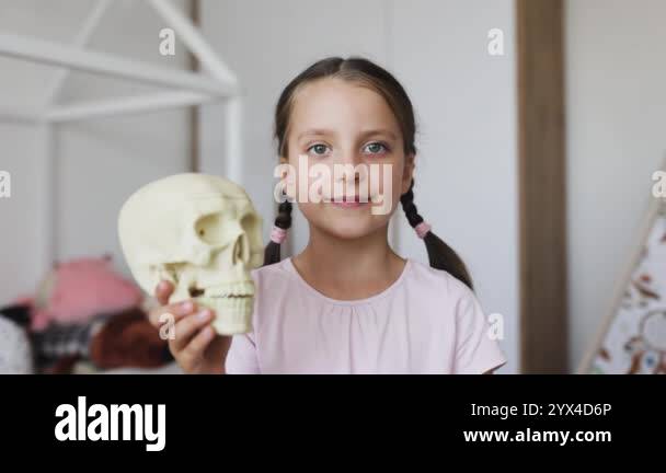 Caucasian girl with missing baby teeth holding human skull model ...
