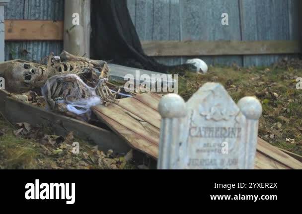 Albert 7 Stock Videos & Footage - HD and 4K Video Clips - Alamy