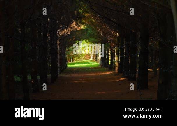 Unsettling setting Stock Videos & Footage - HD and 4K Video Clips - Alamy