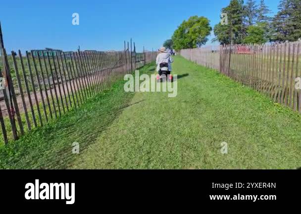 Woman with disability in the wheelchair mobility scooter enjoying Judy ...