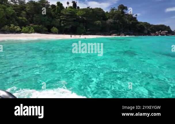 The tropical beach on Similan Islands with lush greenery, soft white ...