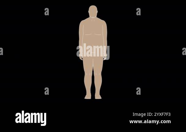 Thin body type Stock Videos & Footage - HD and 4K Video Clips - Alamy