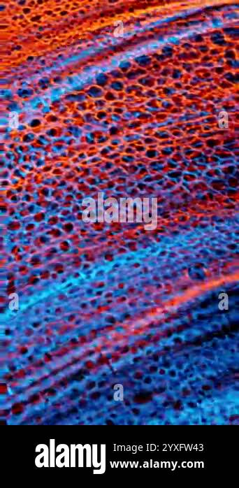 A captivating display of orange and blue waves with bubble-like ...