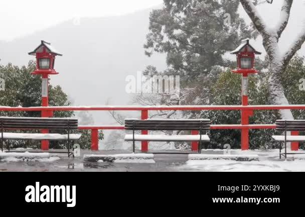 Traditional japanese temple tree Stock Videos & Footage - HD and 4K ...