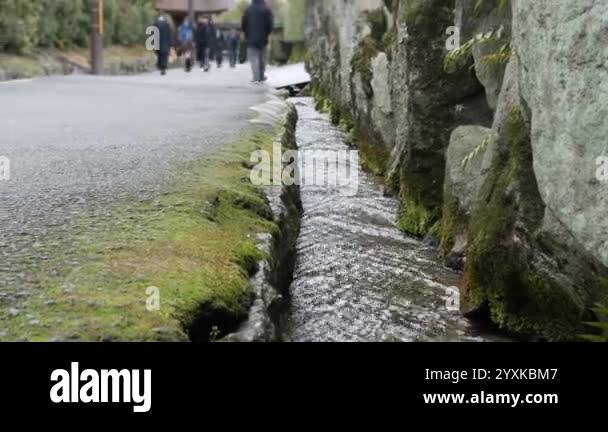 low angle with selective focus view to small ditch with fresh clear ...