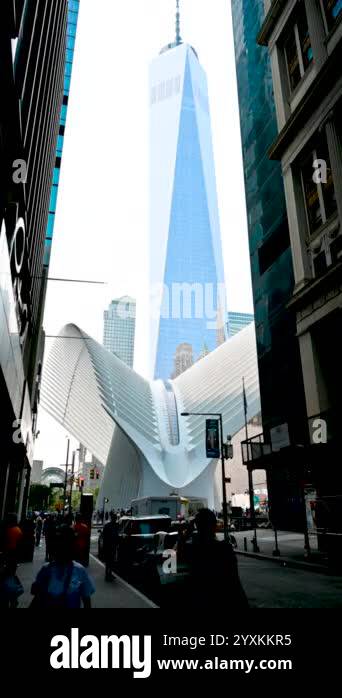 New York, USA, August 16, 2024. Beautiful vertical footage with a ...