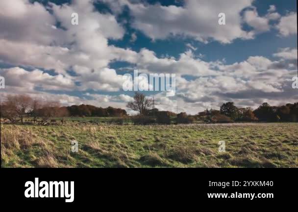 A Time lapse of a rural area with cattle Stock Video Footage - Alamy