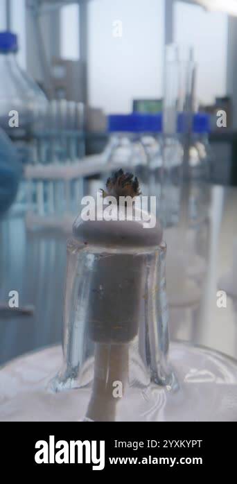 Professional scientist lights glass spirit lamp with wick standing on ...