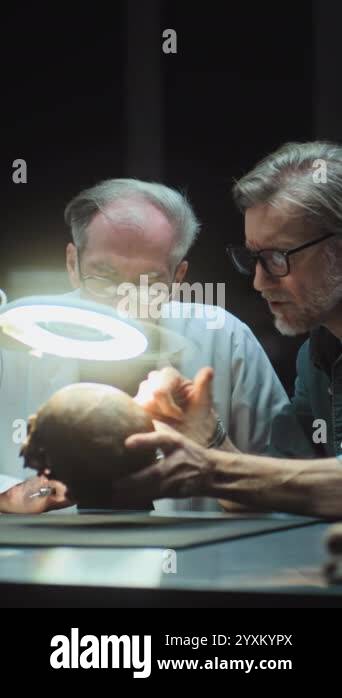Two archaeologists examine fossil skull, conduct scientific research in ...