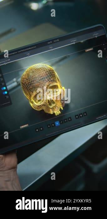 Vertical shot Scientist studies ancient human anatomy using tablet ...