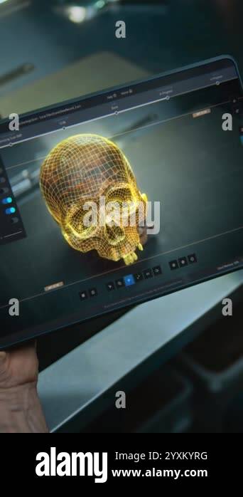 Vertical shot Archaeologist studies ancient human anatomy using tablet ...