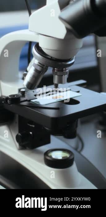 Workspace in advanced modern archaeological lab. Microscope with sample ...