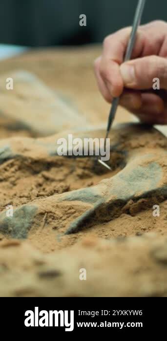 Vertical shot shot of cleaning bones of ancient human or animal from ...