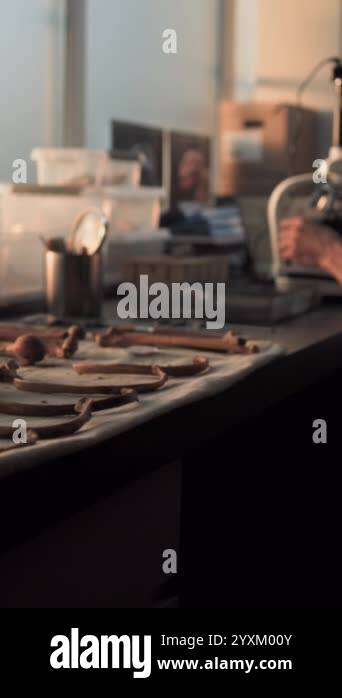 Female archaeologist microscope Stock Videos & Footage - HD and 4K ...