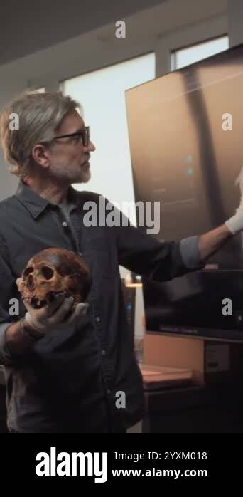 Male and female scientists or archaeologists talk, examine fossil skull ...