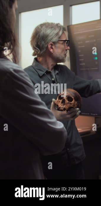 Male and female scientists or archaeologists talk, examine fossil skull ...
