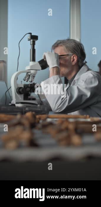 Mature scientist uses microscope, then examines bones of prehistoric ...