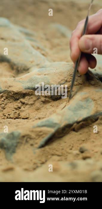 Vertical shot shot of cleaning fossil remains of extinct civilization ...