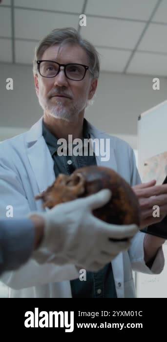 Vertical shot Two scientists study anatomy of fossil skull of ...