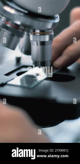 Vertical shot of microbiologist or chemist putting fossil specimen ...