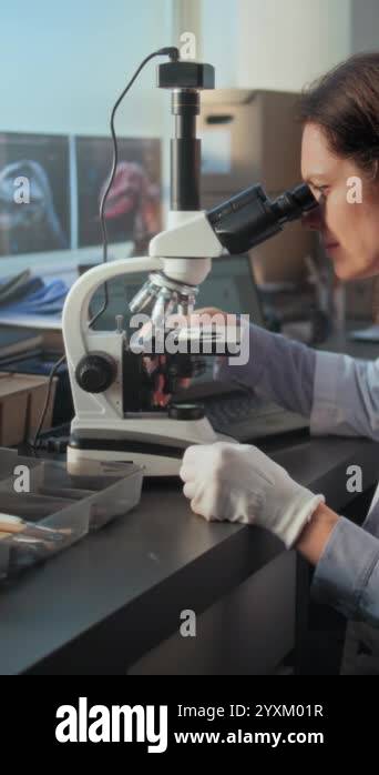 Animal scientists Stock Videos & Footage - HD and 4K Video Clips - Alamy