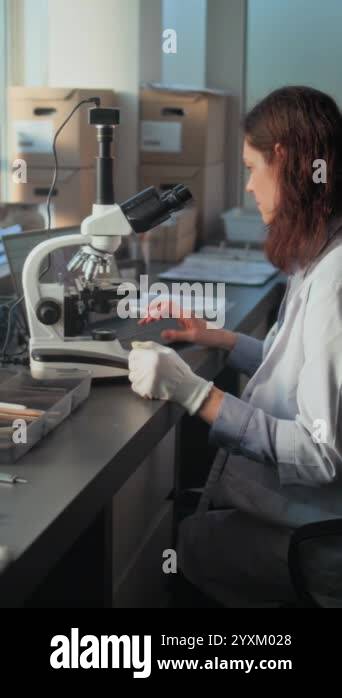 Female scientist uses laptop, then examines bones of ancient human or ...