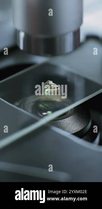 Vertical shot of microbiologist putting fossil sample on glass slide ...
