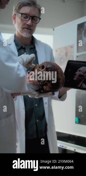 Male and female scientists study anatomy of fossil skull of ancient man ...