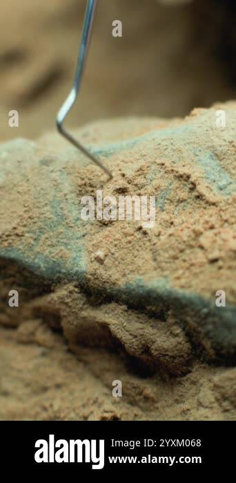 Vertical shot shot of cleaning fossil remains of extinct civilization ...