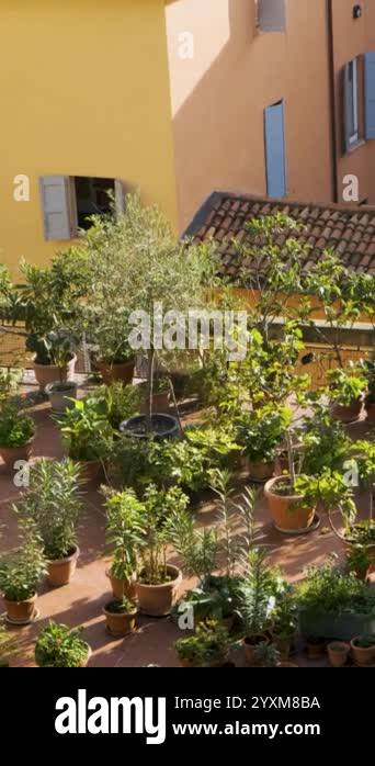 Green rooftop garden in Bologna old town, Emilia Romagna, Italy, with variety of potted plants ...