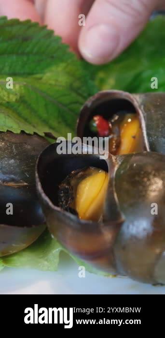 Top view panorama of the cooked sea escargo snails with a side dish of ...