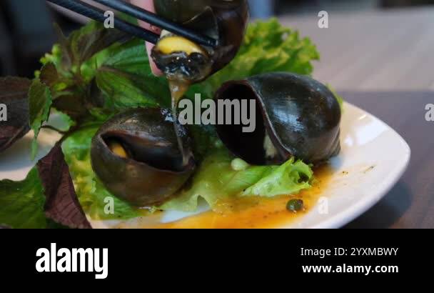 Top view panorama of the cooked sea escargo snails with a side dish of ...