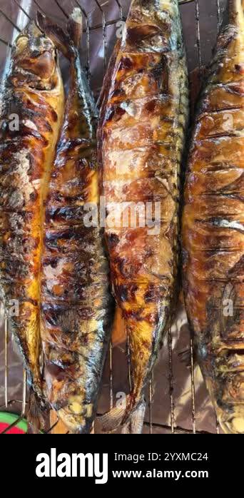 Gastro fish Stock Videos & Footage - HD and 4K Video Clips - Alamy