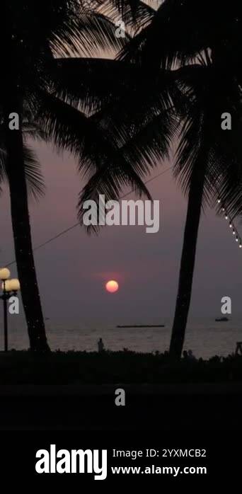 Red pink sunset on sea with small islands, silhouettes of palm trees on ...