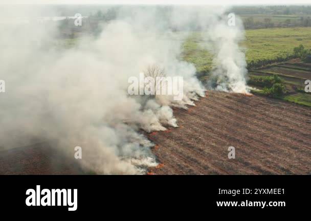 Aerial view drone flying around bush fire burn and smoke. Air pollution ...