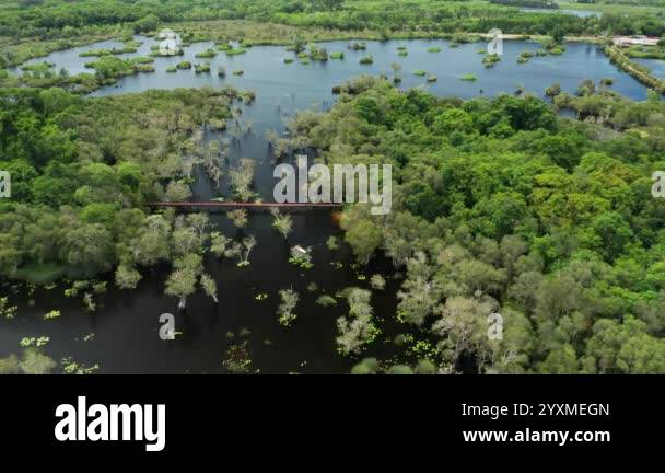 Aerial view of tourists in tropical mangrove forest at national park ...