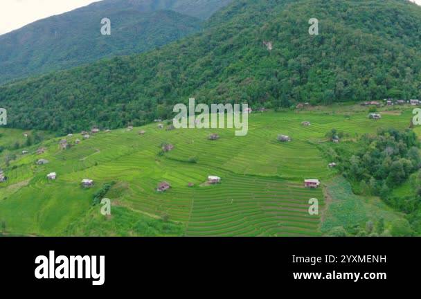 Aerial view in an amazing terraced rice Ban pa bong piang in Chiang mai ...