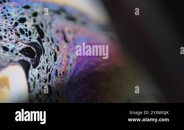 Liquid spectrum. Bubble fluid. Defocused pink blue orange rainbow color ...