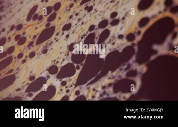 Bubble paint. Acid liquid. Defocused orange color oil emulsion leak ...