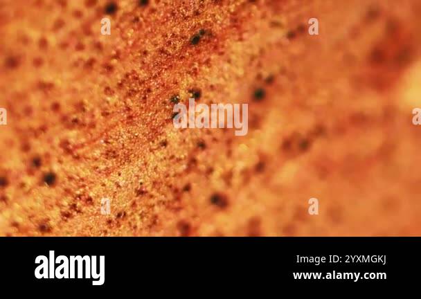 Sparkling liquid. Shimmering ink flow. Defocused golden bronze black ...