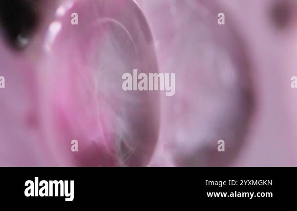 Vertical video. Oil bubbles. Fizzy liquid. Defocused pink black color ...