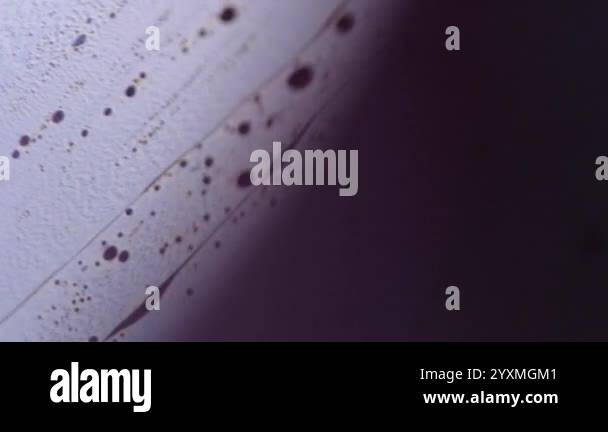 Chemical fluid. Bubble liquid. Defocused purple color fizzy texture ...