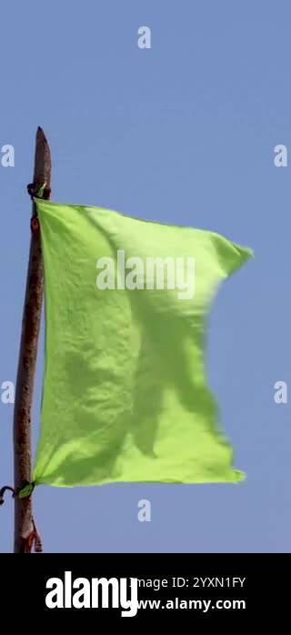 Portrait footage of a green flag that has been attached to a stick ...