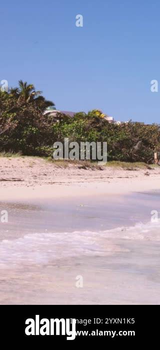 Portrait footage of the beautiful beach front of the Cuban beach at ...