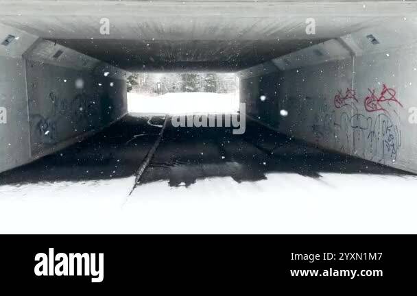 Christmas slowmotion snowfall in 4K video in nature background with ...