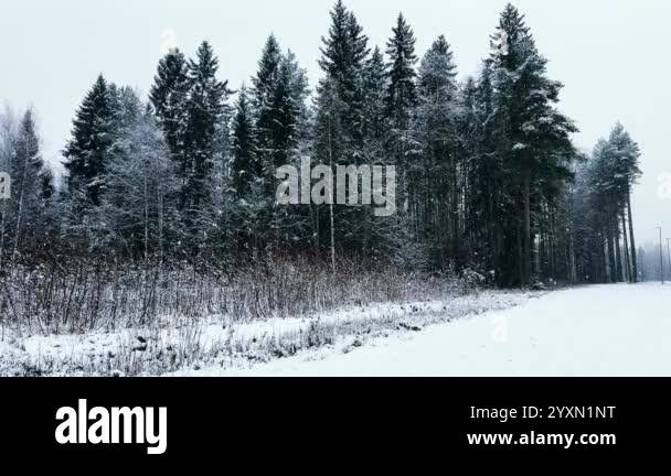 Christmas slowmotion snowfall in 4K video in building background with ...
