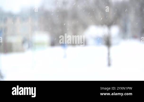 Christmas slowmotion snowfall in 4K video in nature background with ...
