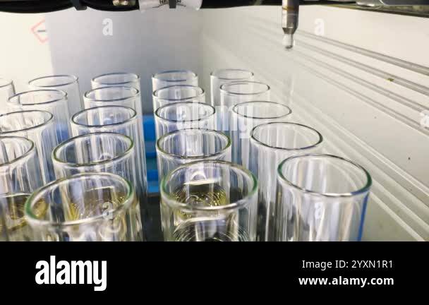 Green fluorescent chemical compound is separated in liquid ...